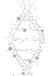 OnKure Therapeutics - Our Success is Written in Our DNA